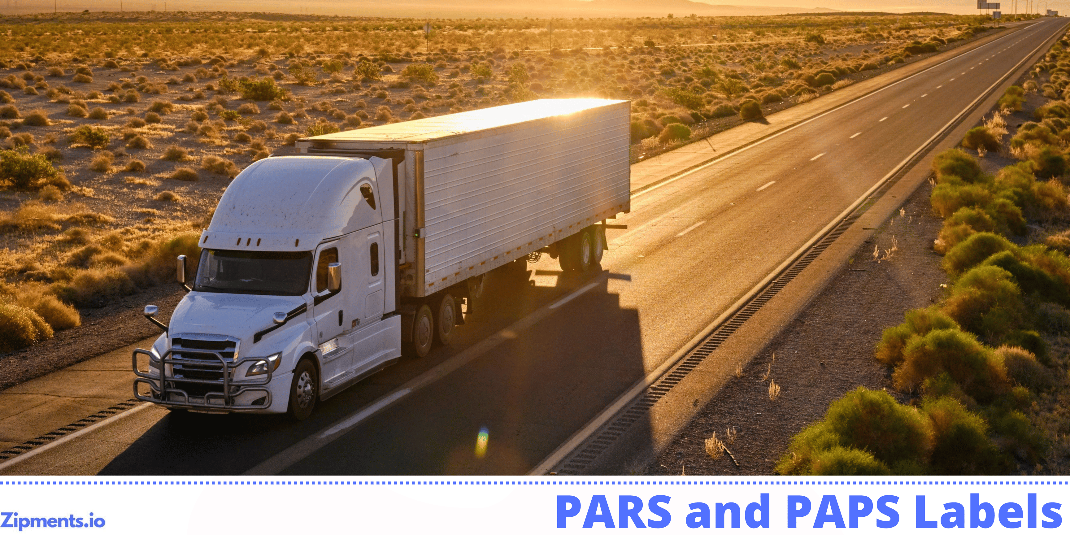 PARS vs PAPS: Know the Difference